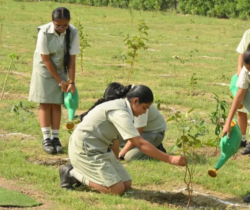 100+ Slogan of Environment in Hindi 2026 - FreeValleys